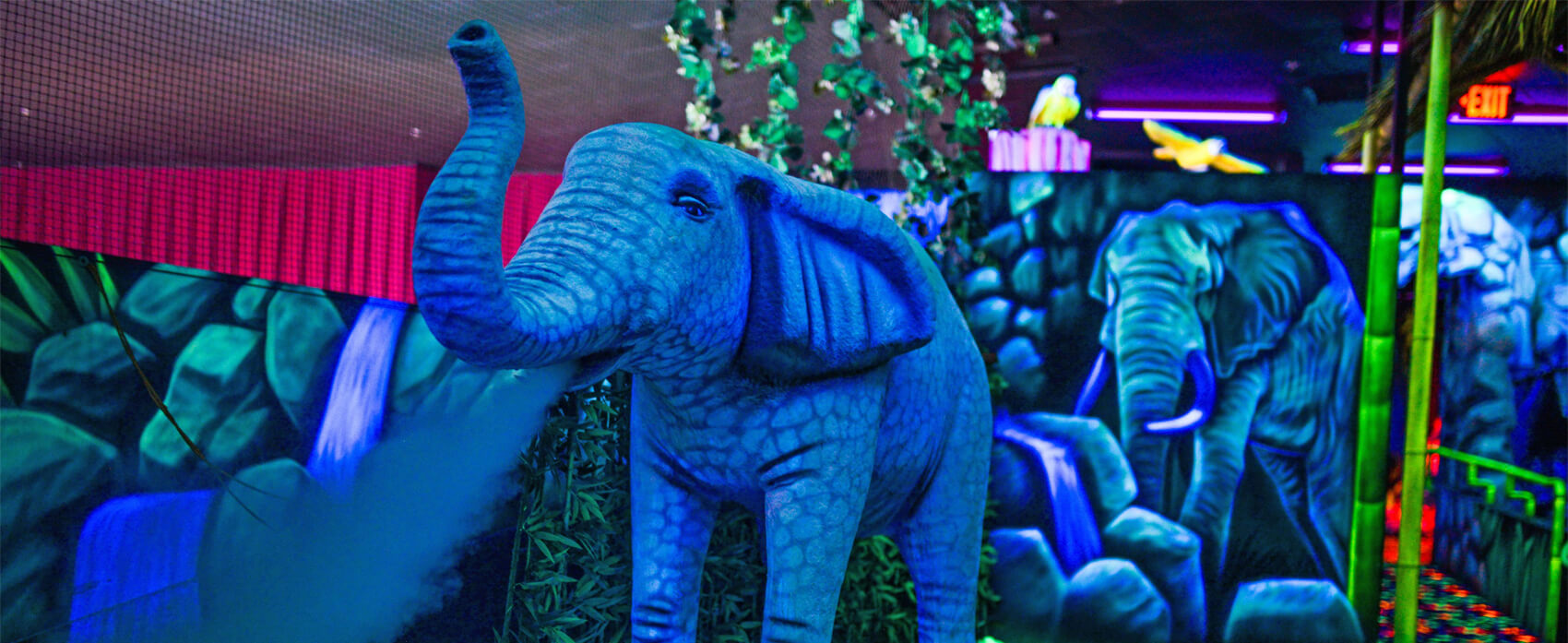 Electric Castle's Wunderland | Cinemas, Games & More